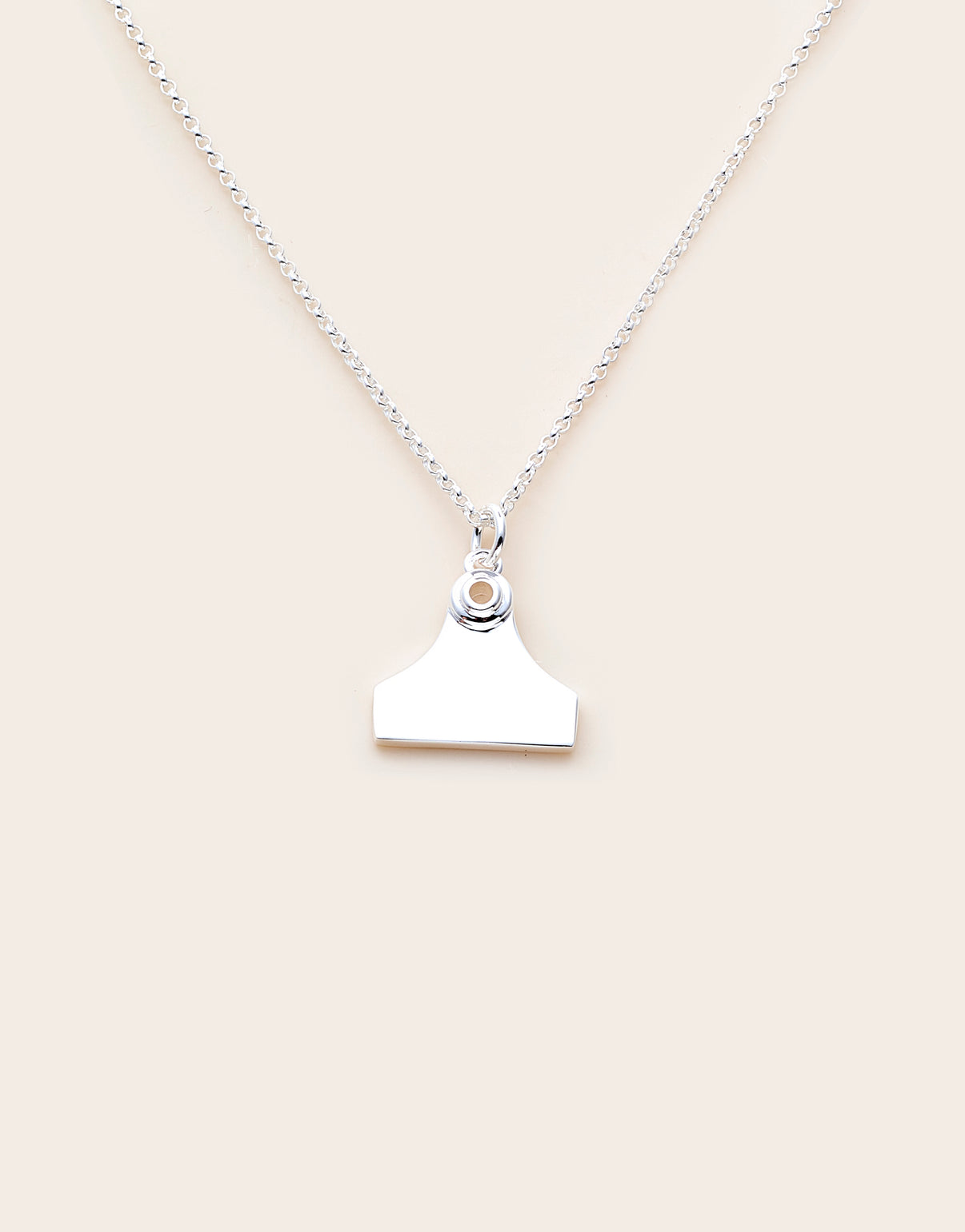 Cattle Tag Necklace Medium – Whistle & Pop