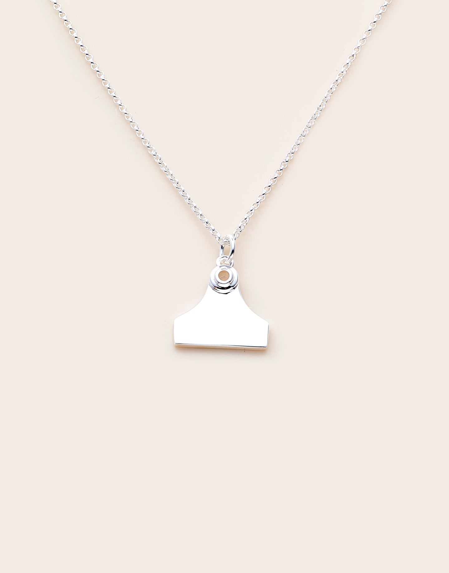 Cattle Tag Necklace Medium – Whistle & Pop