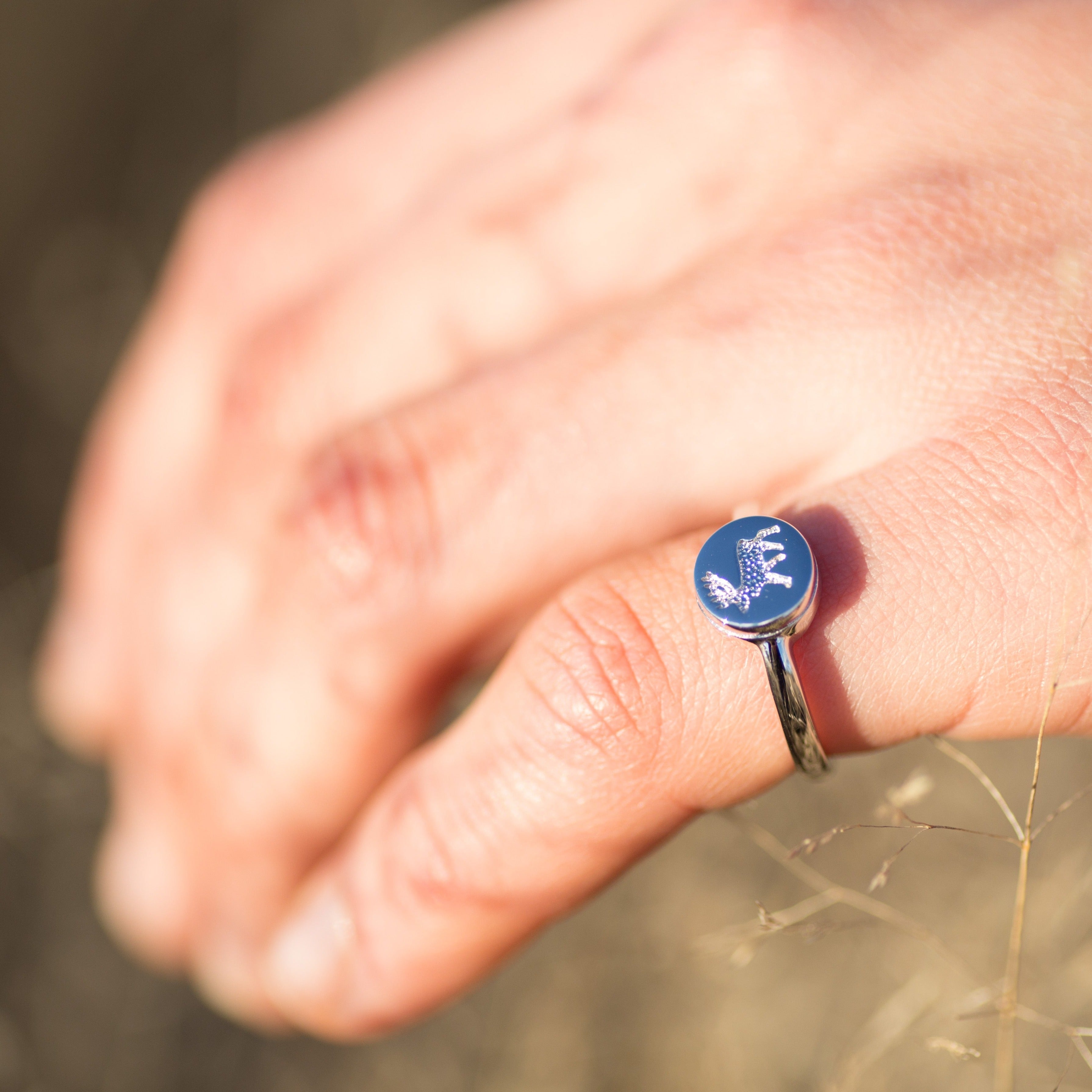 Rings – Whistle & Pop